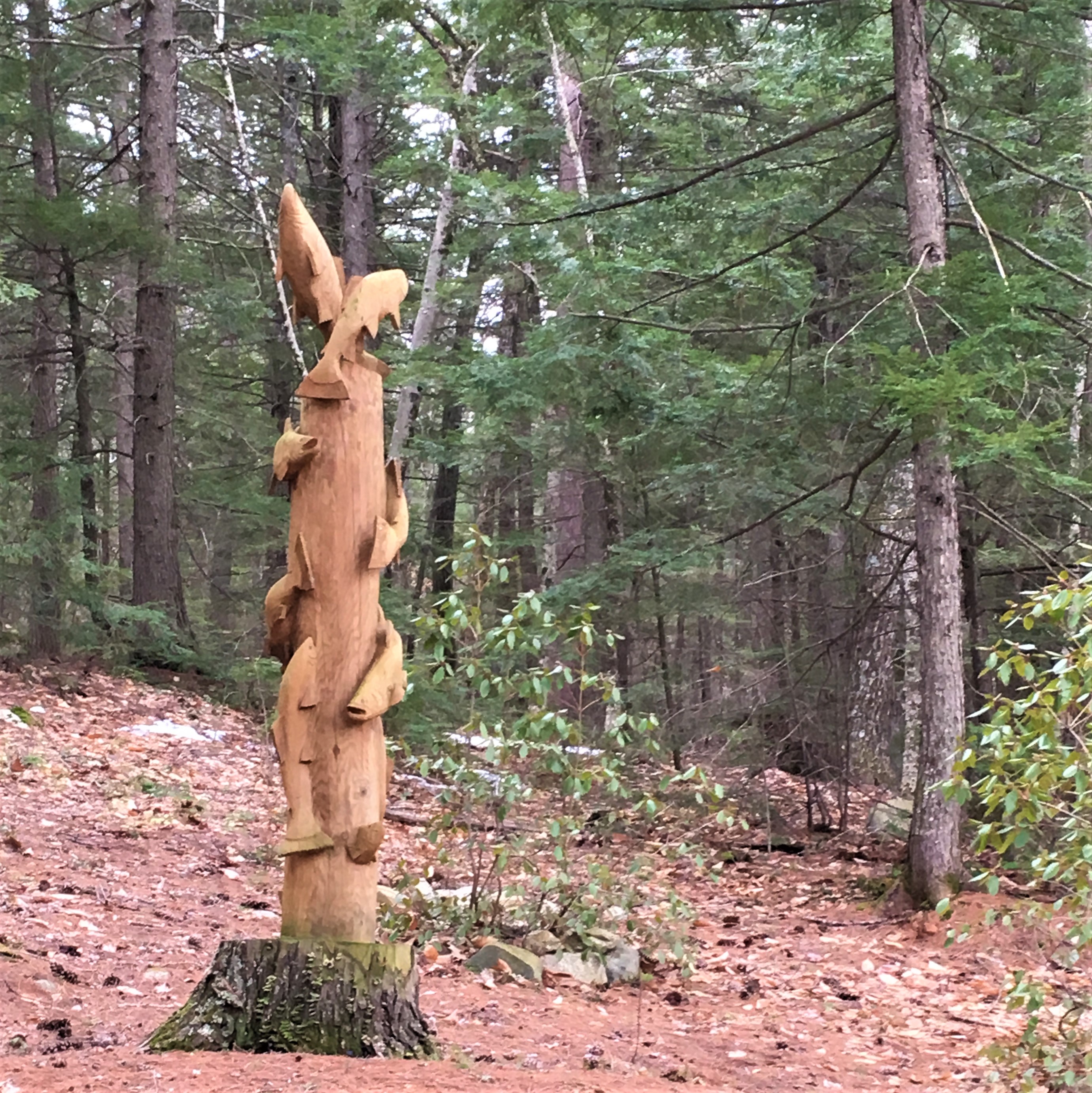 Isolation Adventures: Foster to Peabody Ponds – Conversant